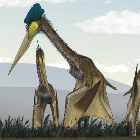 Animals (TDERB) | Total Drama ERB Wiki | Fandom