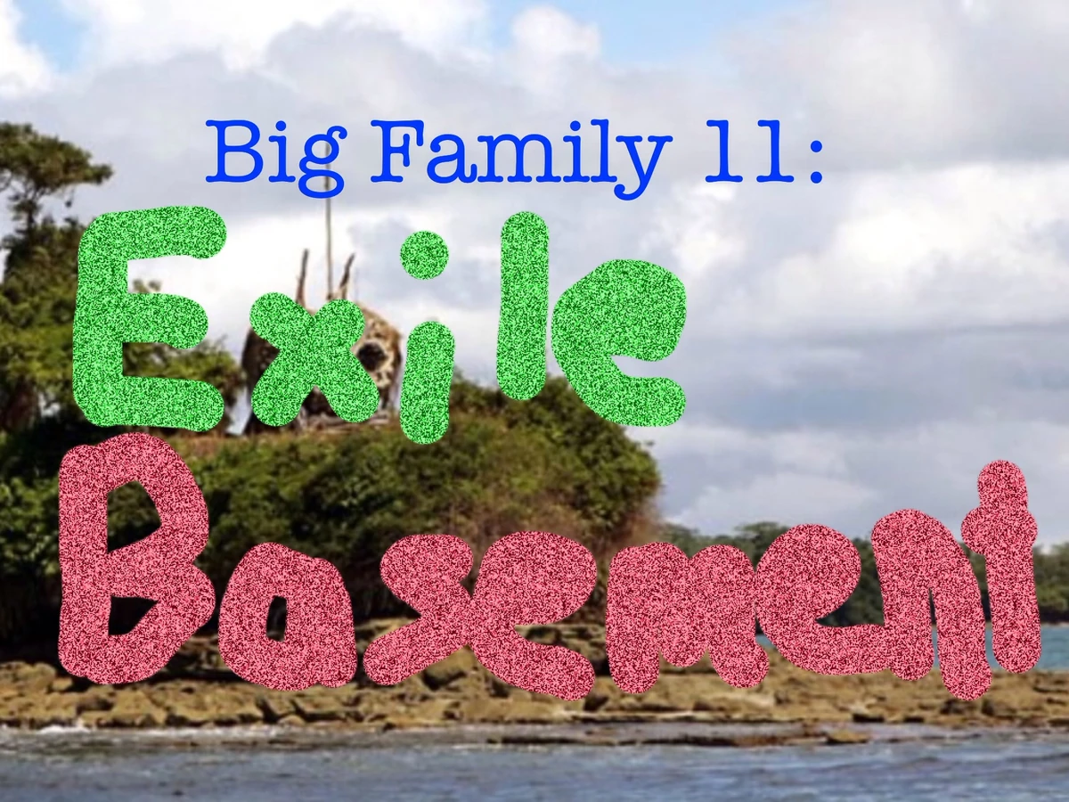 Big Family 11: Exile Basement | Total Drama Island Camp Wiki | Fandom