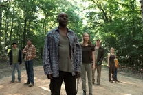 Teacup Wiki | Fandom