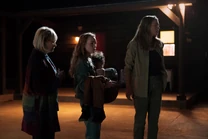 Teacup Wiki | Fandom