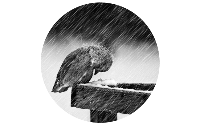 Seasons | Team MK Wiki | Fandom