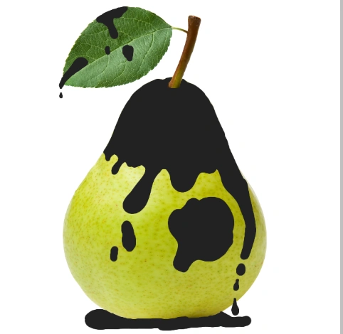 Grande Fabrique | Wiki Team Fruit | Fandom