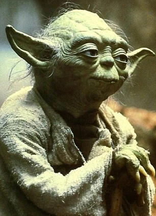 Yoda | Team Avatar Wiki | Fandom