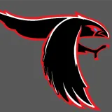 ShadowFalcon | Teambuilder Showdown Wiki | Fandom
