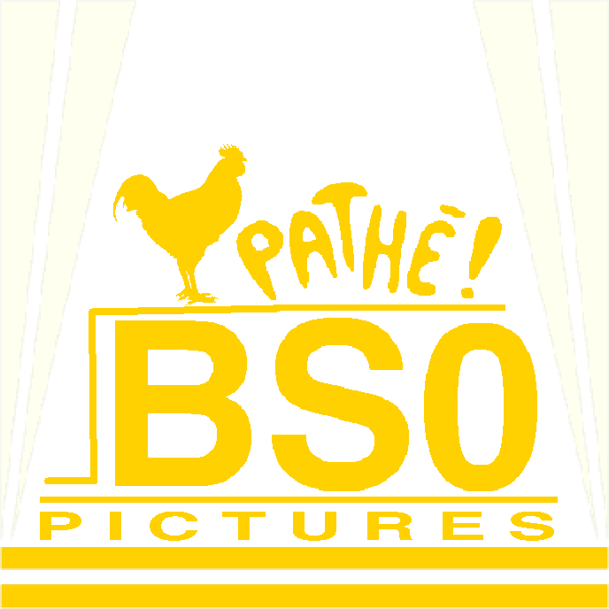 BS0 Animation Studios | Team Fan Wiki | Fandom