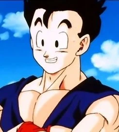 Gohan | Team Four Star Wiki | Fandom