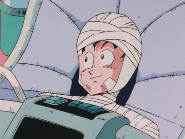 Biography of Goku (Late Age 762) | Team Four Star Wiki | Fandom