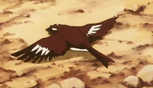 Toriyama (Bird) | Team Four Star Wiki | Fandom