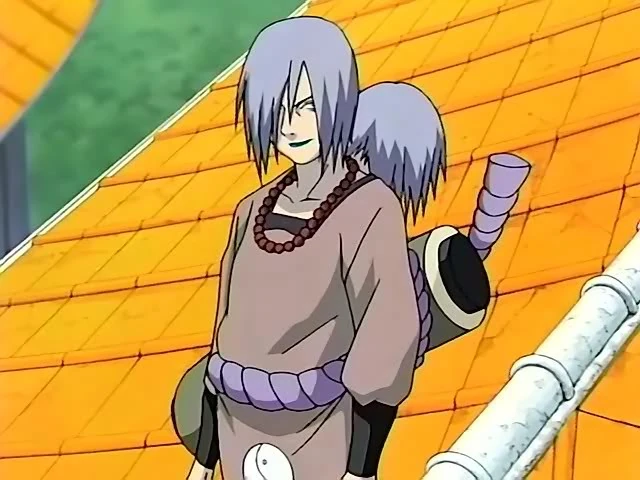 Sakon and Ukon | TeamJustice Wiki | Fandom