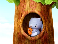Squirrels | Team Umizoomi Wiki | Fandom