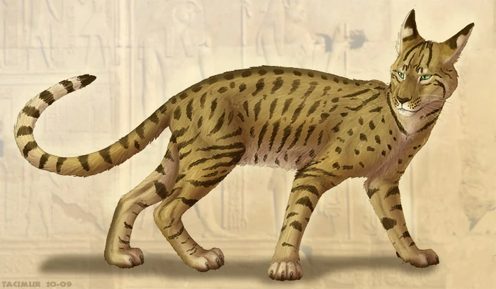 Bubasti | Tech Infantry Wiki | Fandom