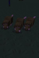 Rats | Technic Pack Wiki | Fandom