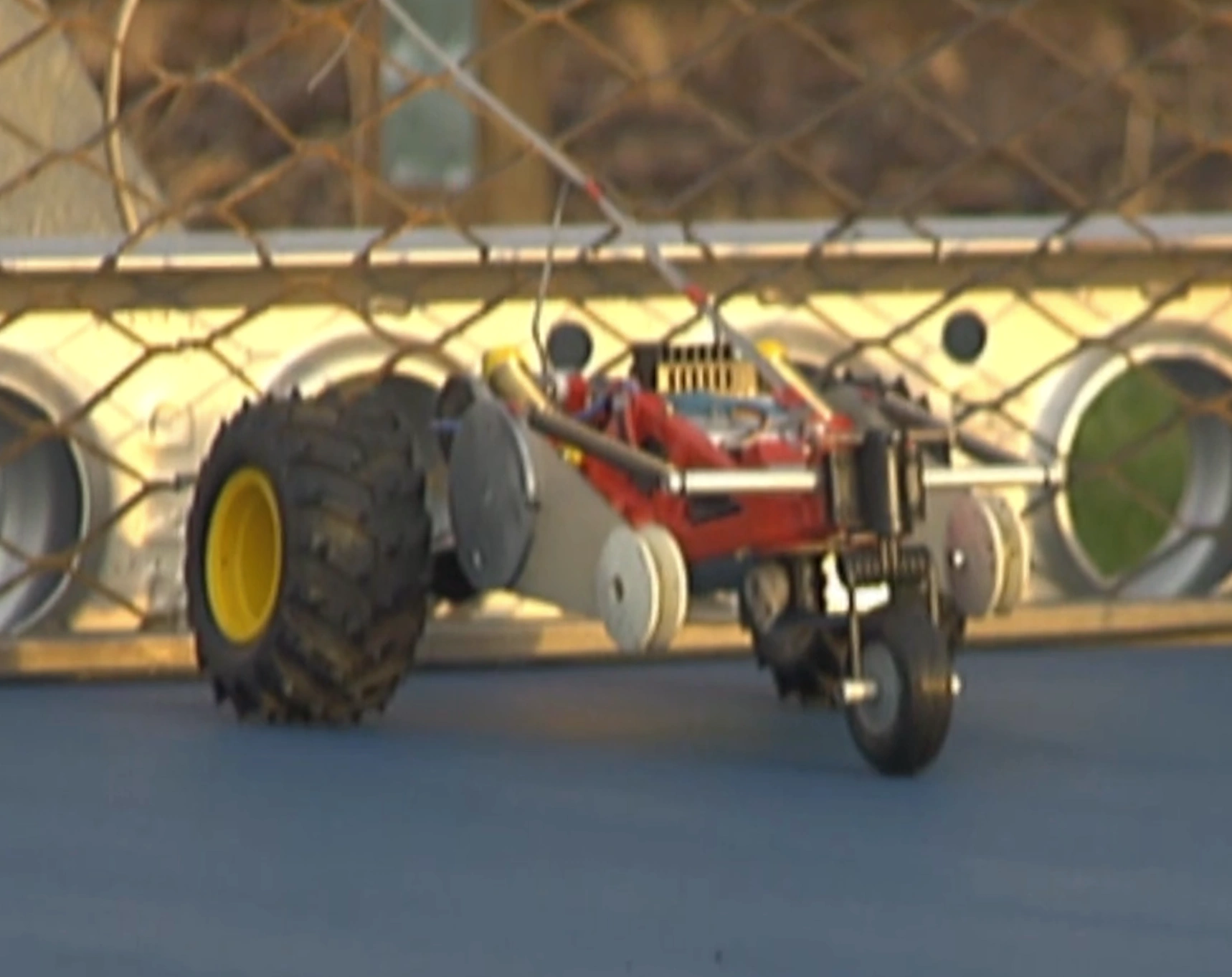 The Flea | Techno Games Wiki | Fandom