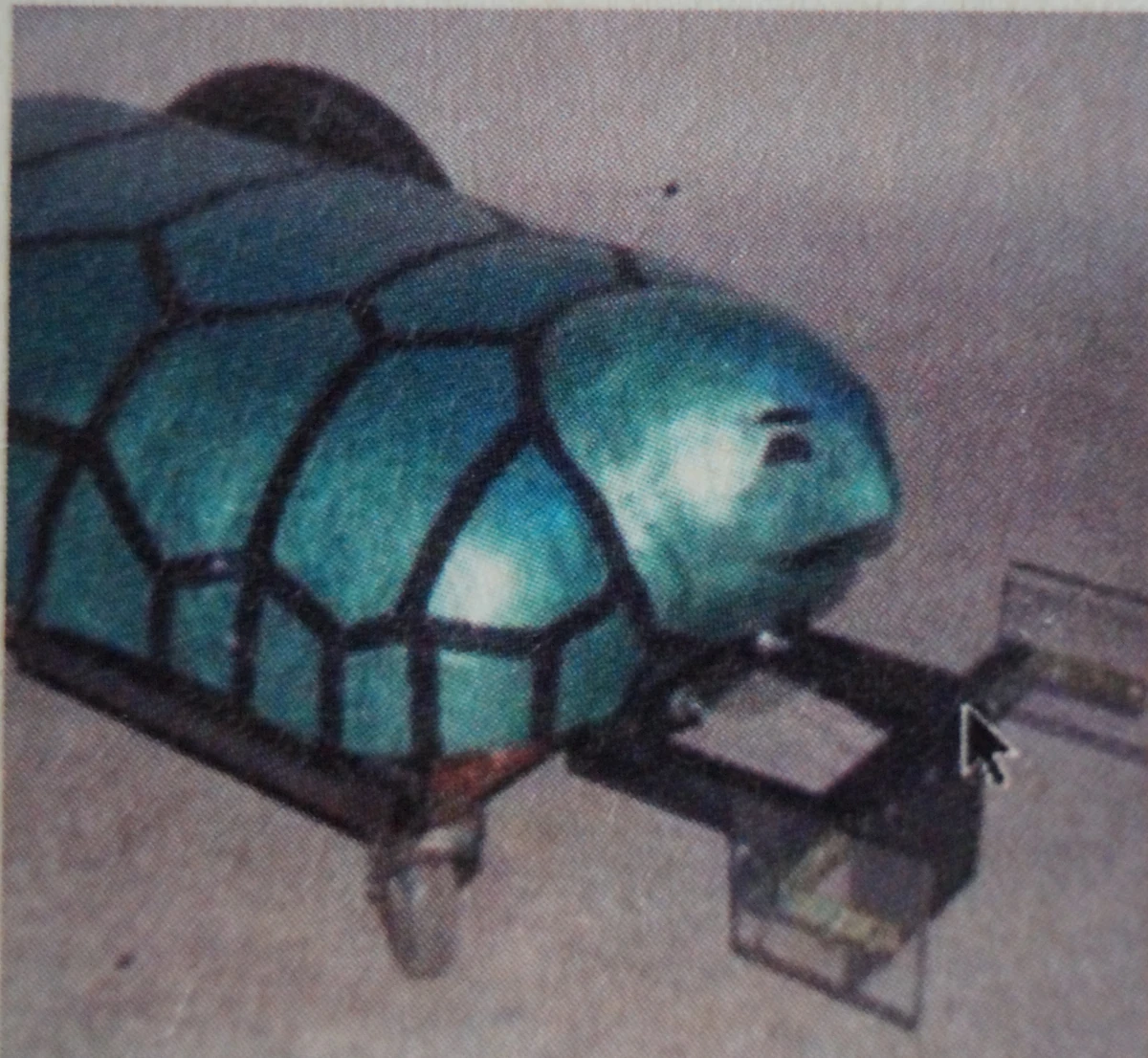 Terry Turtle | Techno Games Wiki | Fandom