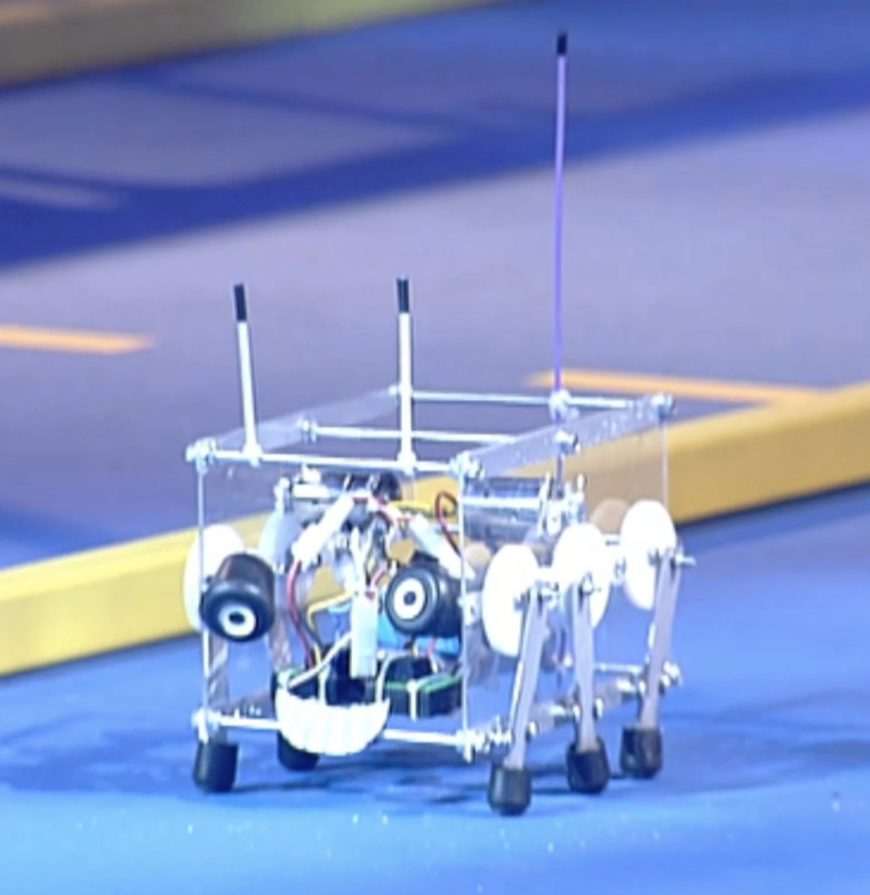 Crazy Critter | Techno Games Wiki | Fandom