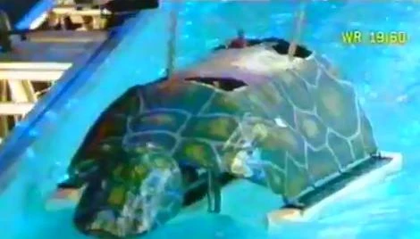 Turn Turtle | Techno Games Wiki | Fandom