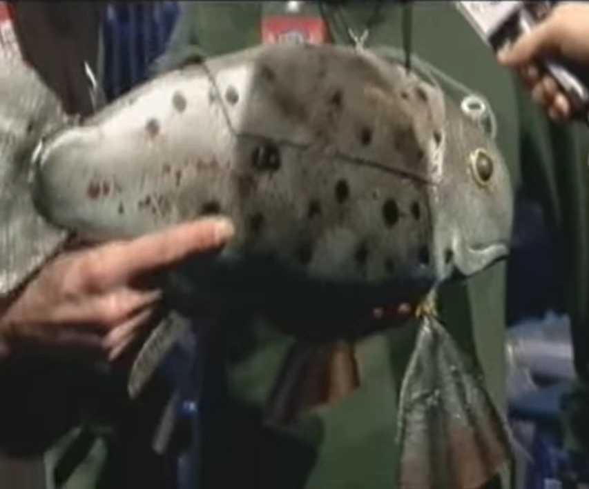 Robocod | Techno Games Wiki | Fandom