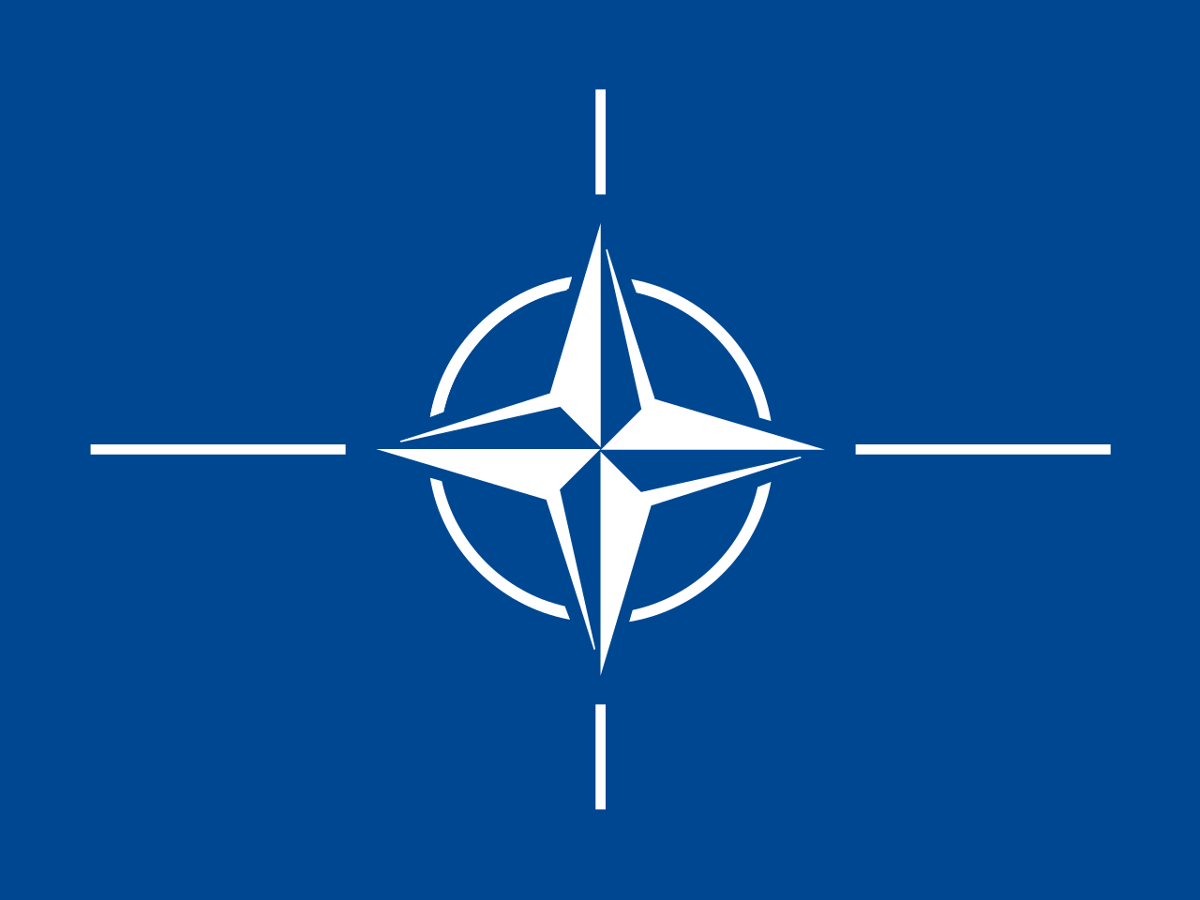 NATO | Techratic And Coolest AU Wiki | Fandom
