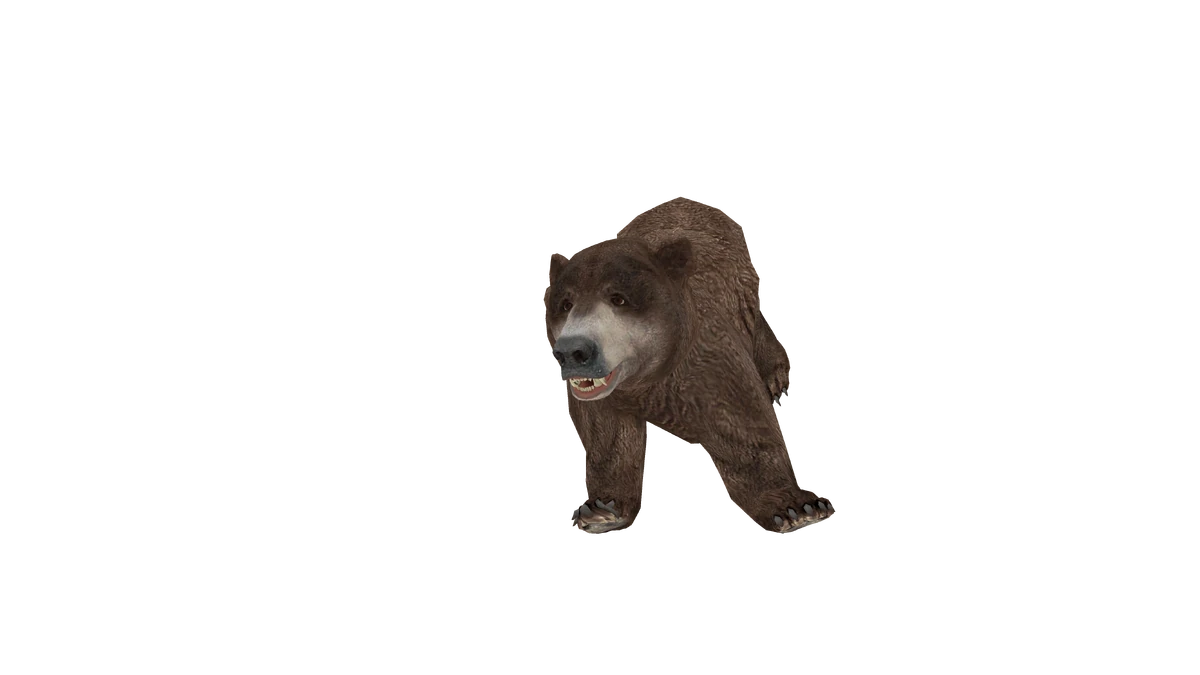 Grizzly Bear | Techratic And Coolest AU Wiki | Fandom