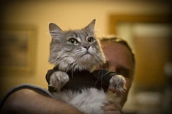 Grover Books | TechTeam QA 20 Wiki | Fandom