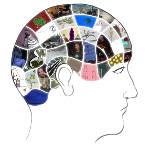 TED-Ed Wiki | Fandom