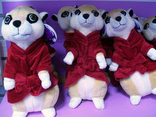 Richard | Teddy bear Wiki | Fandom