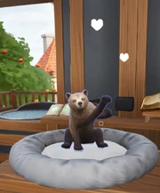 Teddy | Teddy's Haven Wiki | Fandom