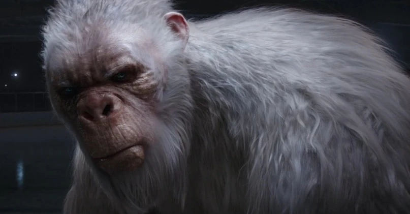 Abominable Snowman | Teen Hulk Multiverse Wiki | Fandom