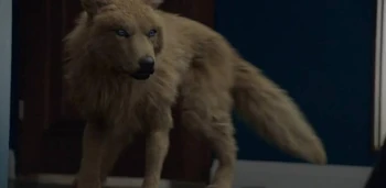 Kate | Teen Marvel/Vampire Diaries Crossover Wiki | Fandom