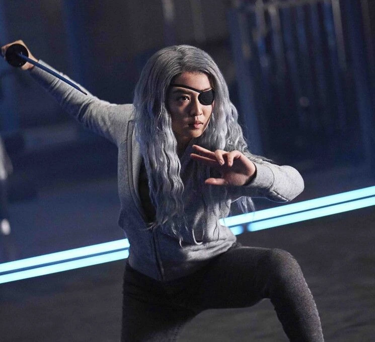 Rose Wilson (Titans TV Series) | Teen Titans Archive Wiki | Fandom