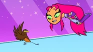 Super Robin (bird) | Teen Titans Go! Wiki | Fandom