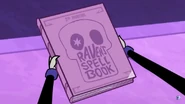 Raven's Spellbook | Teen Titans Go! Wiki | Fandom