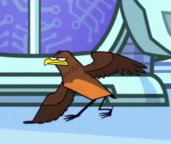 Teen Titans Go Super Robin