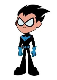User blog:Flamejoe736/Nightwing Fan Profile | Teen Titans Go! Wiki | Fandom