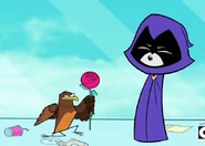 Super Robin (bird) | Teen Titans Go! Wiki | Fandom