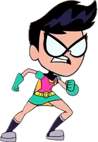 Opposite Gender Robin | Teen Titans Go! Wiki | Fandom