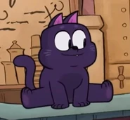 Cat | Teen Titans Go! Wiki | Fandom