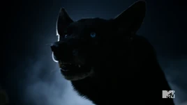 Evolved Werewolf | Teen Wolf Wiki | Fandom