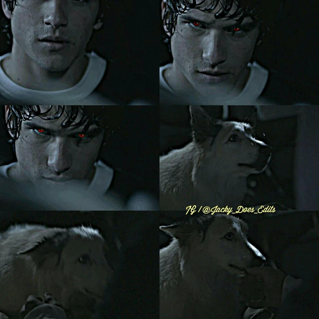 Werewolves | Teen Wolf Universe Wikia | Fandom