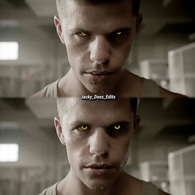 Werewolves | Teen Wolf Universe Wikia | Fandom