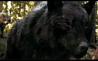 Seth | Teen wolf x Tvd Wiki | Fandom