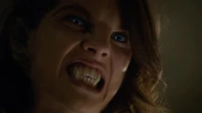McCall Pack | Teen wolf x Tvd Wiki | Fandom