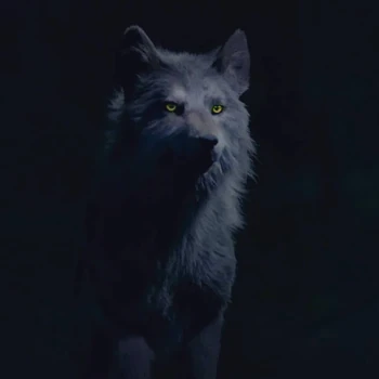 Hope Mikaelson | Teen wolf x Tvd Wiki | Fandom