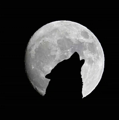 Deucalion | Teen wolf x Tvd Wiki | Fandom