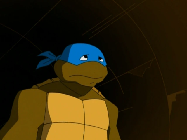 Tmnt Leonardo 2003