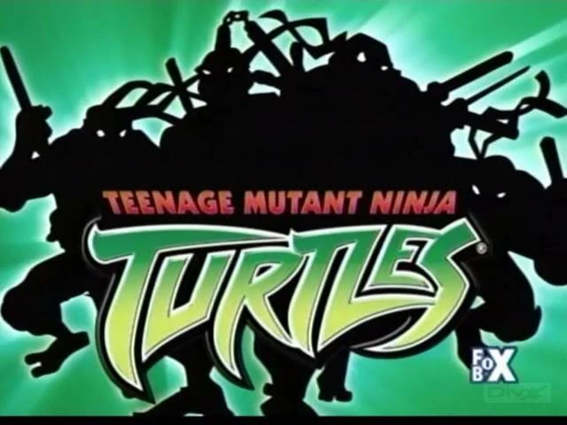 List of Teenage Mutant Ninja Turtles (2003) episodes | Teenage Mutant ...