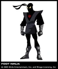 Foot Ninja | Teenage Mutant Ninja Turtles 2003 Series Wiki | Fandom