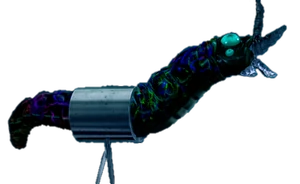 Parasites | Teenage Mutant Ninja Turtles 2012 Series Wiki | Fandom