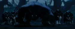 Werewolves | Teenage Mutant Ninja Turtles 2012 Series Wiki | Fandom