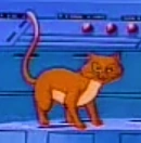 Princess | Teenage Mutant Ninja Turtles Parodies Wiki | Fandom